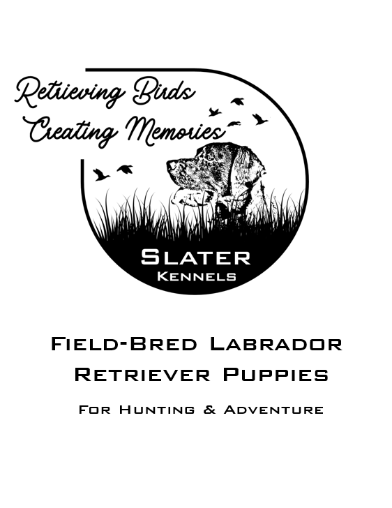 Puppy Deposit – Slater Kennels